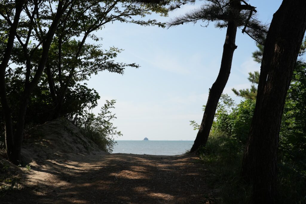 Cordite Way - Poole HarbouR Trails